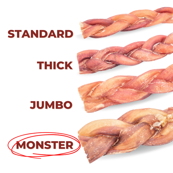 12 Inch Monster Braided Bully Stick – Bully Bunches