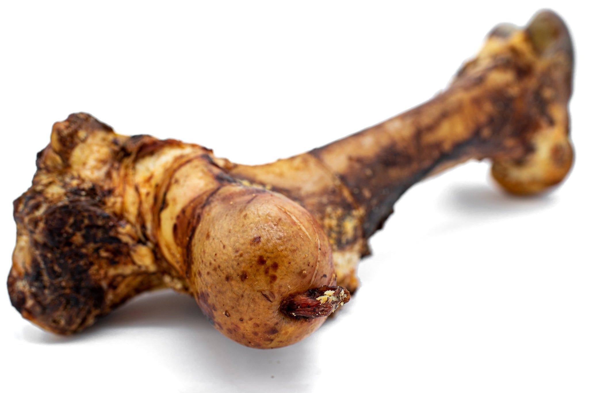 Monster Femur Bone – Bully Bunches