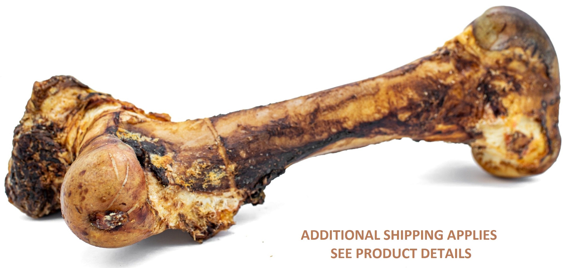 Monster Femur Bone – Bully Bunches