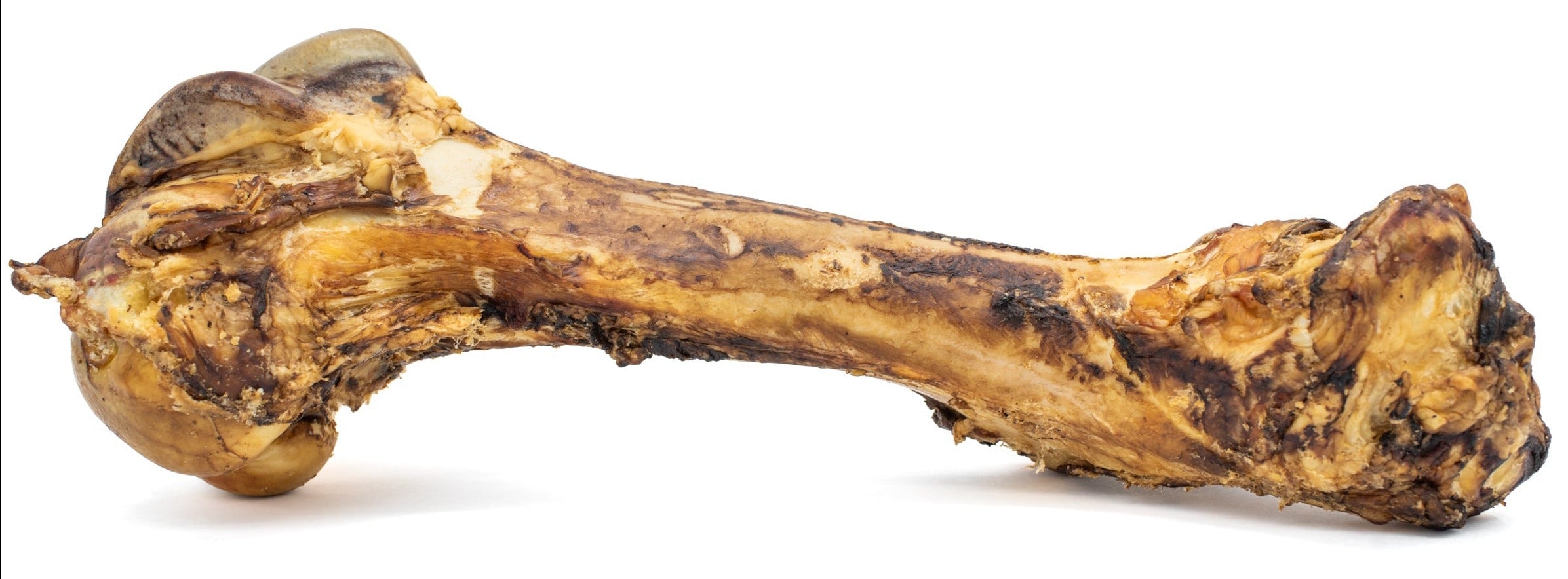 Monster Femur Bone – Bully Bunches