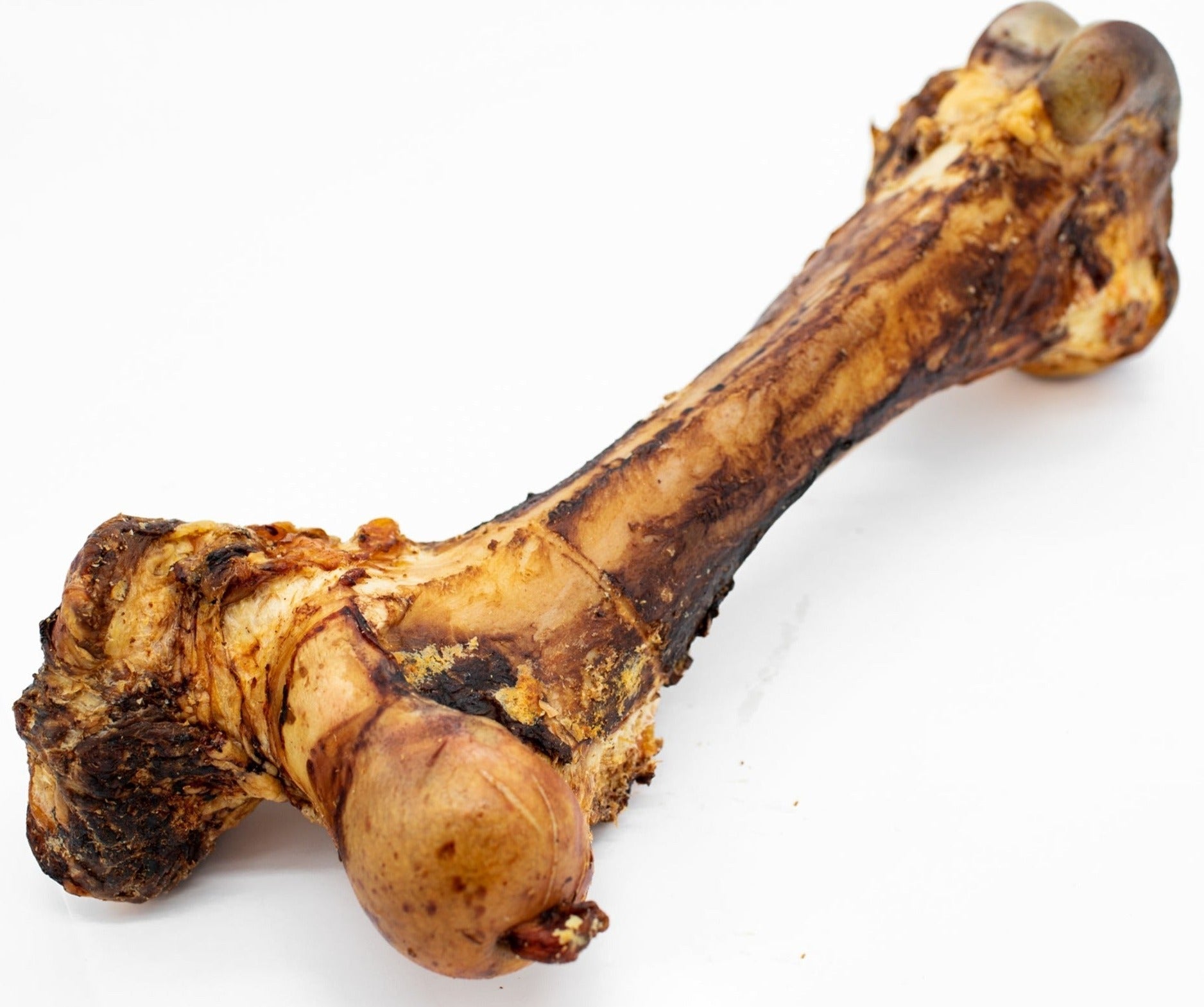 Monster Femur Bone – Bully Bunches